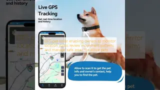 Pet GPS Tracker: Track Your Pet Safely