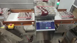 Full Structure Takes Of Stainless 304 Food Metal Detector With Digital Signal Processing And OEM