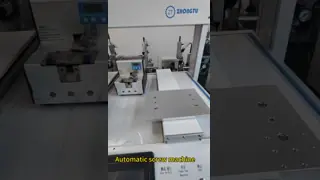 Automatic Screw Locking Machine