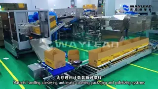 China WP50 Intelligent Collaborative Palletizing Robot Maximum Compatible Pallet Size 1200mm 1100mm for sale
