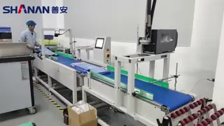 Automatic Industrial Conveyor Belt Check Weigher CheckWeight Machine Weight Scale