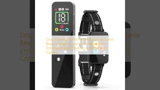 Dog Training Collar: Better Behavior Now