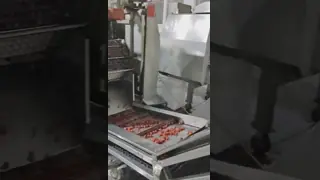 Safeline X-Ray Inspection SystemsX-Ray Inspection Systems For Packaged Products