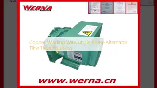 China Copper Winding Wire Single Phase Alternator 11kw 11kva Brushless for sale