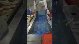 Video of tableware washing by commercial dishwasher with soaking tank