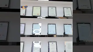 Certificate Display Area