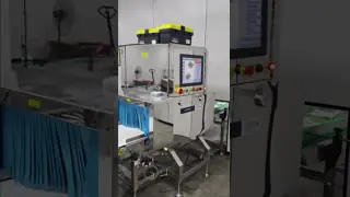 Food Safety Inspection Customized Factory Conveyor Belt Quality production line