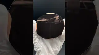 China Ti/Cu Metal-Coated Silicon Wafer (Titanium/Copper) for sale