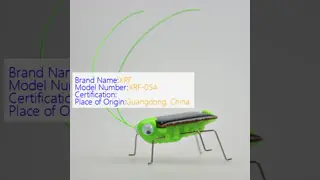 Green Solar Grhopper Toy Fun for Kids
