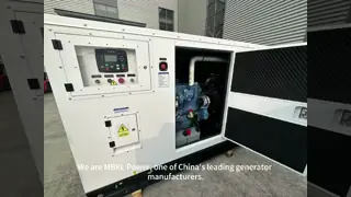 China Compact 62.5KVA Silent Diesel Generator - Yuchai Engine with Automatic Safety Features for sale