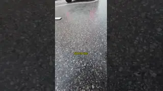 ? Real Performance, Proven by the Road