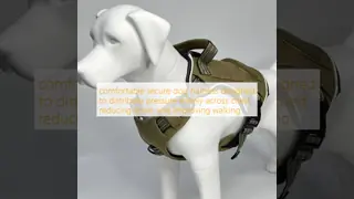 Breathable Cat Harness: Safe Outdoor Adventures