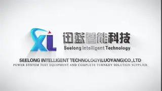 Seelong Company Introduction