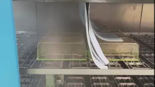 Tunnel cage washer
