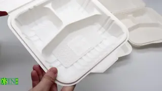 1000ml 3 Compartments PP Disposable Food Container Takeaway Lunch Box for Catering