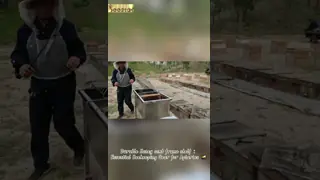 China Wholesale Honeycomb Panel Comb Honey Flow Jar Flow Honey Shelf Household Restaurant for sale