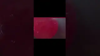 Titanium film plated inside the stainless steel cup
