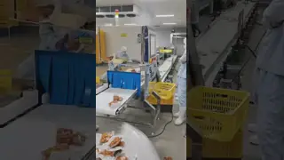 Food X Ray Inspection Machine High Sensitivity For Nuts