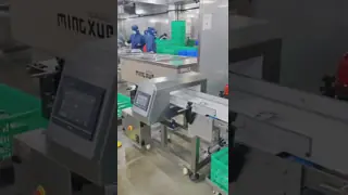 SA-508Foodstuff Detection Belt Conveyor Inclined Metal Detector / Belt Metal Detector