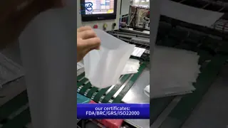 Stand Up Plastic Bag: Food-Safe Resealable B2B Custom Wholesale Durable Supplier