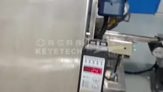 Cap & Nozzle Vision Sorting Machine