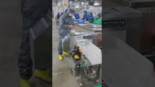 SA-990High Sensitivity Belt Conveyor Metal Detectors  For Medicine Capsule Pills Apparel Industry