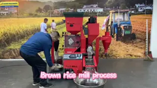 brown rice mill machine