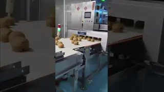 Automatic Conveyor Metal Detector 0.5mm Sensitivity Food / Cosmetic Raw Material Inspection