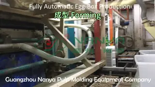 China Fully Automatic Pulp Egg Box/Tray Machine/ Mass production Egg Box production line for sale
