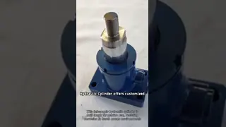 Marine Telescopic Hydraulic Cylinder Corrosion Proof