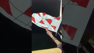 Unique Custom Courier Bag For Transport