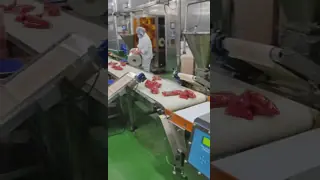 High Precision Automatic Food Metal Detector Food Metal Detection Equipment