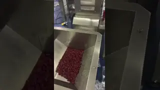 China 50g-1000g Pets Foods Weighing And Packaging Machine 10 head multihead weigher Vertical Form Fill Seal Packing Machine for sale