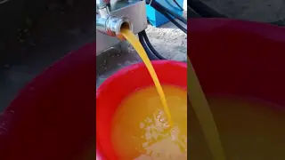 China Custom Commercial 36L Manual Hydraulic Jack Honey Fruit & Vegetable Press Stainless Steel Commercial Hydraulic Cold-Press Grape Juicer for sale