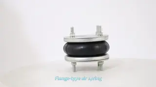 Dunlop Air Spring PNP305510113 Single Bellows Air Suspension 6X1 with Metal Plate