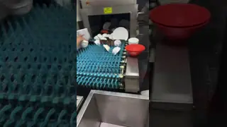 Channel commercial dishwashers