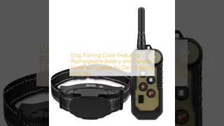 Dog Training Collar Rechargeable Waterproof