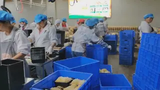 Full Structure Takes Of Stainless 304 Food Metal Detector With Digital Signal Processing And OEM
