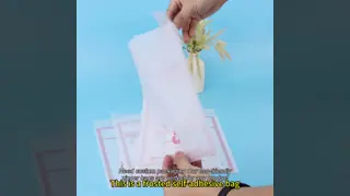 Custom Zipper Bags Eco Friendly Packaging Solution