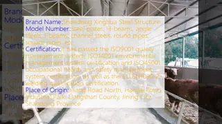 Poultry Steel Structure Anti Corrosion Ventilation