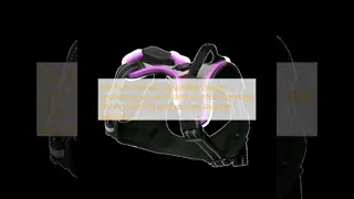 Electric Dog Training Collar Bark Control