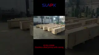 China Three-phase stainless steel electric submersible pumps with a head range of 10 to 700 meters are an ideal choice for mining water pump solutions. for sale