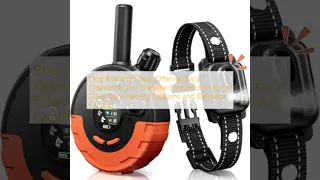 Dog Training Collar Easy Control Barking Solution
