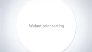 China X-Ray Inspection Machine with Deep Learning AI for Internal Defect Detection and Versatile Nut Sorting for sale