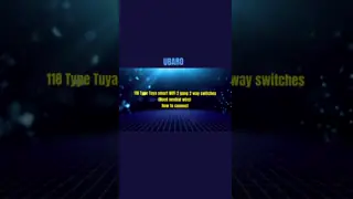 Dual WiFi Switch Control Two Lights Tuya App