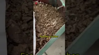 organic fertilizer production equipment chicken feather grinder