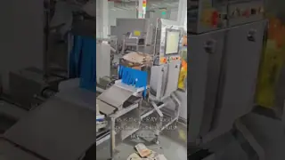 X-RAY food inspection machine nuts product