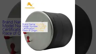 1V 6028 Truck Air Spring Replacement