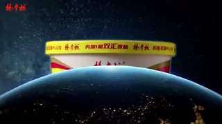 Vermicelli, noodles with vegetables and egg has the plus style