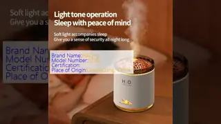 360ml Humidifier Aromatherapy Night Light Quiet Operation